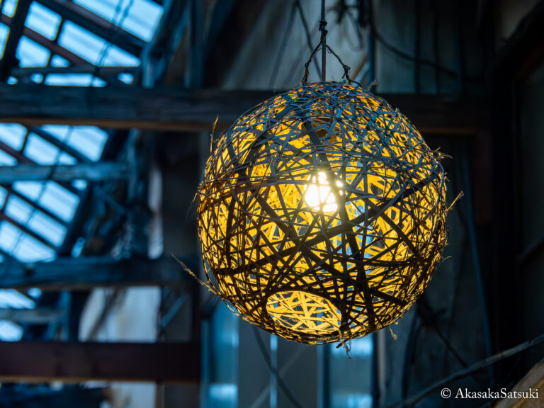 PhotoBlog:210 竹明かり | Photographer Akasaka Satsuki